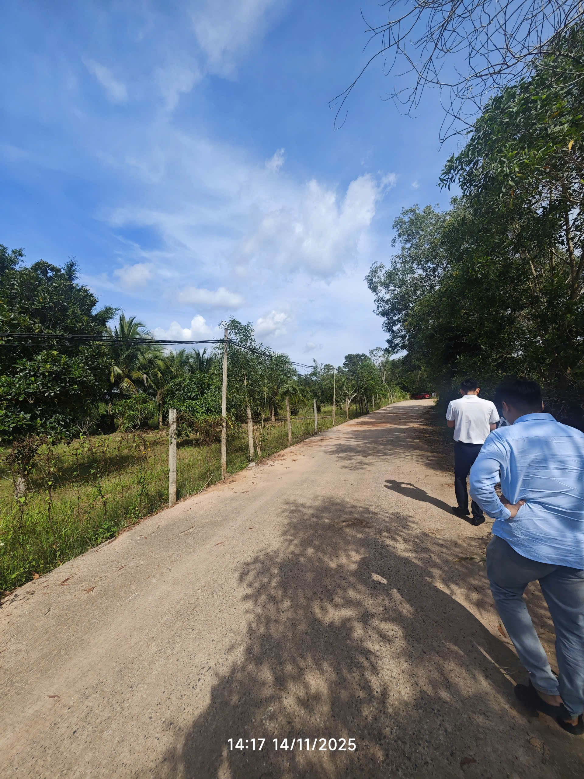 Bán đất 11081m² mặt tiền 196m giá 21.5 tỷ Khu Tượng Cửa Dương Đặc khu ...