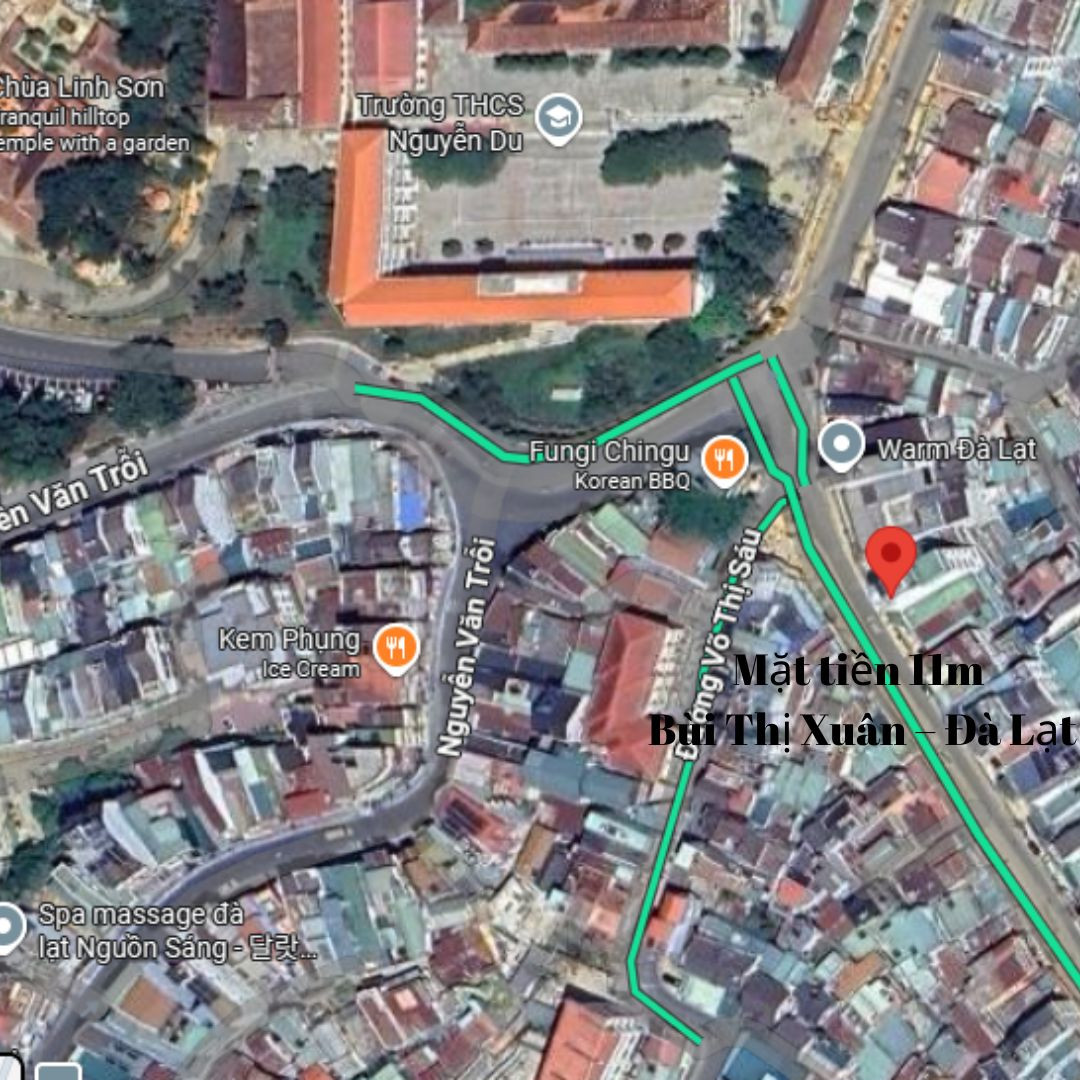 Cần bán đất mặt tiền đường Bùi Thị Xuân, Đà Lạt - Vị trí đắc địa, kinh doanh thuận lợi