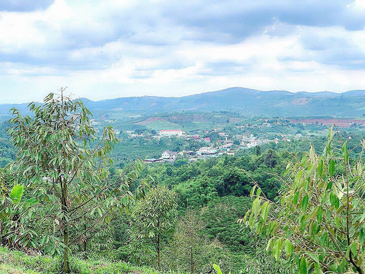 Vòng tới vòng lui cạn vốn bán gấp 1700m2 Ven Đà Lạt Chỉ 502tr