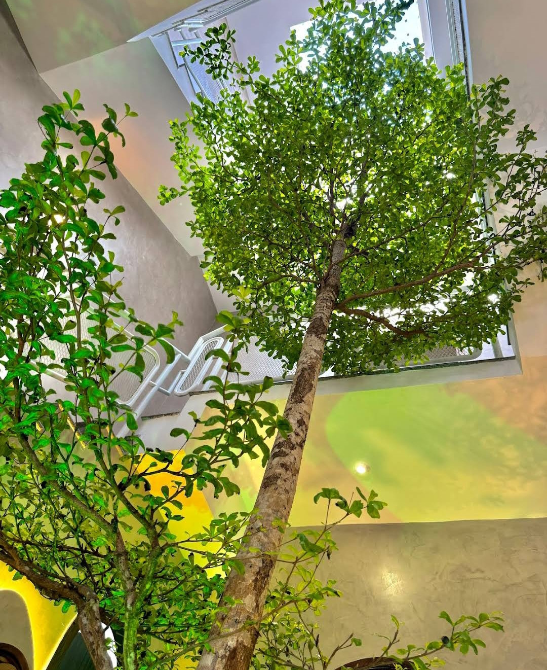 Bán căn Homestay Đường Chúc Động, Hoà Minh, View công viên, gần Biển ...