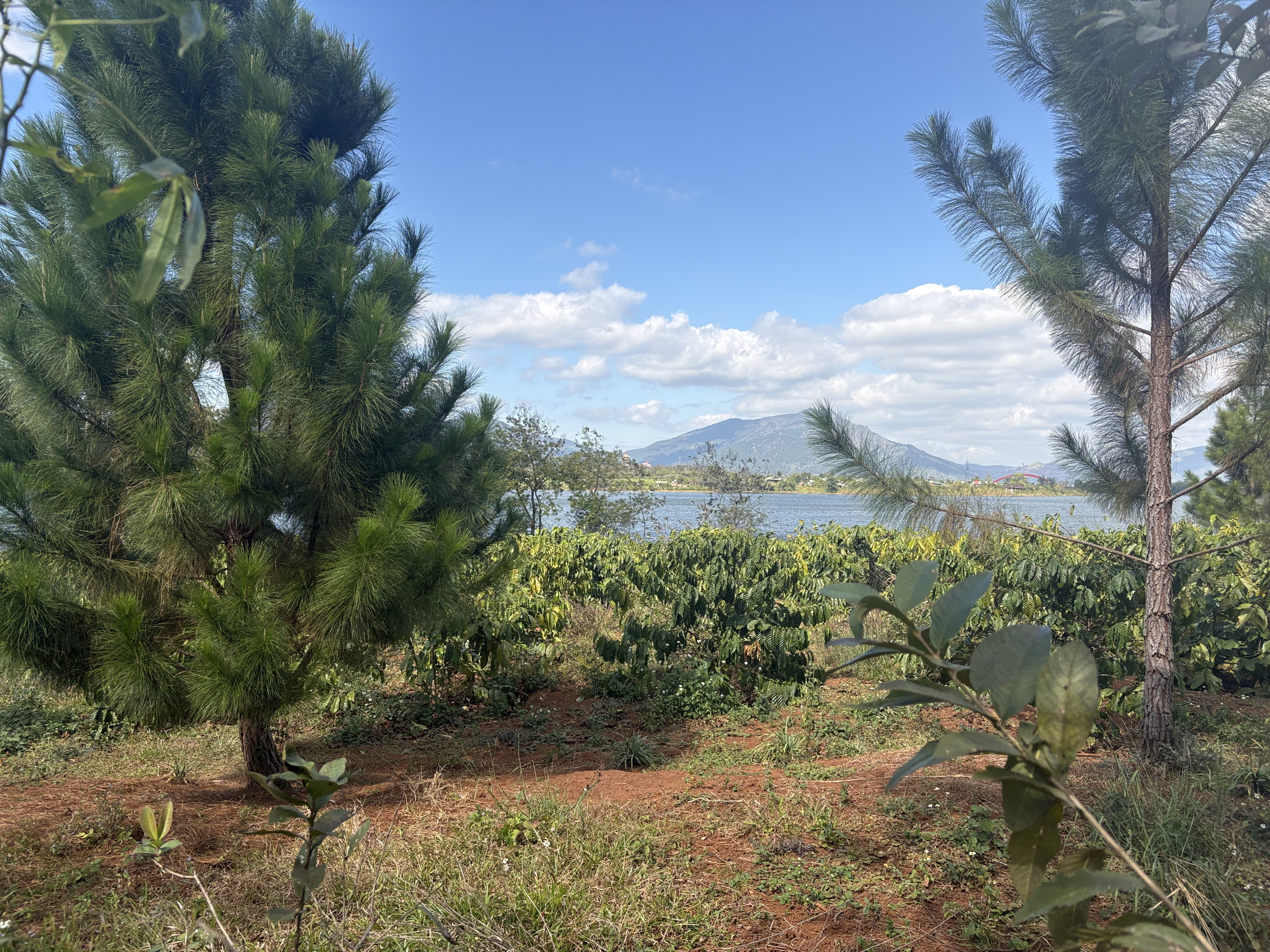 Đất view hồ hẻm Đào Duy Từ