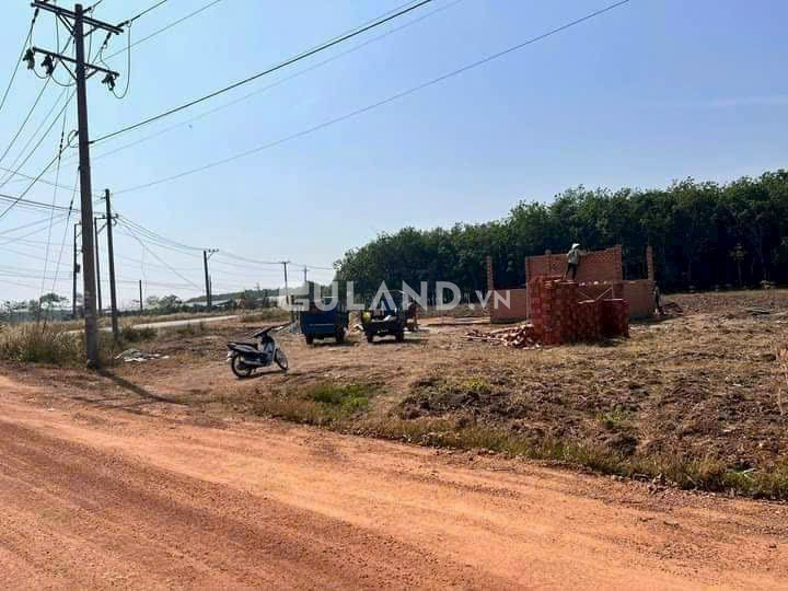 Đất sào 1400m2 Chơn Thành Bình Phước