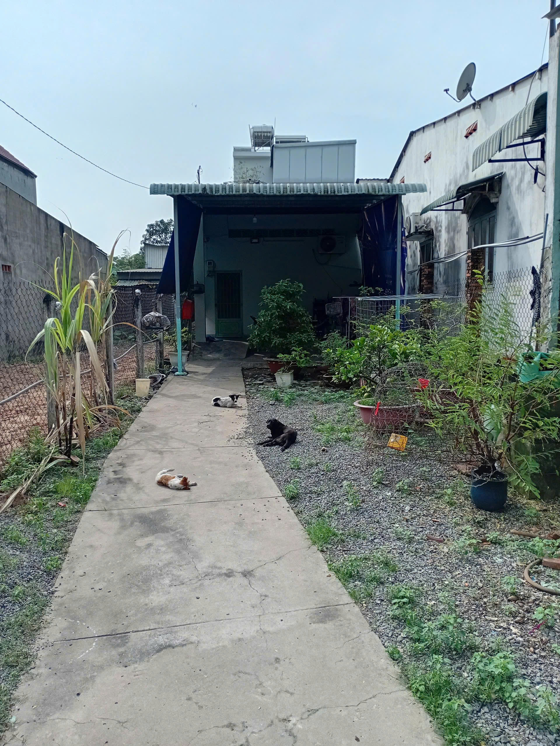 ĐẤT TÁI ĐỊNH CƯ SẴN SỔ TƯƠNG BÌNH HIỆP 5X27-ĐƯỜNG XE TẢI 10M-THỔ CƯ 100%