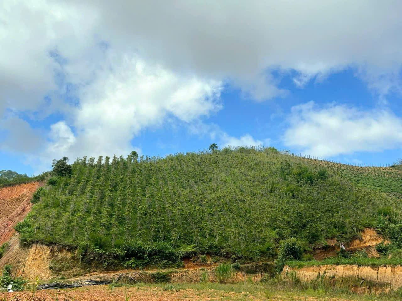 Bán đất thế dương view cao khu dân cư gần trung tâm thị trấn Lạc Dương