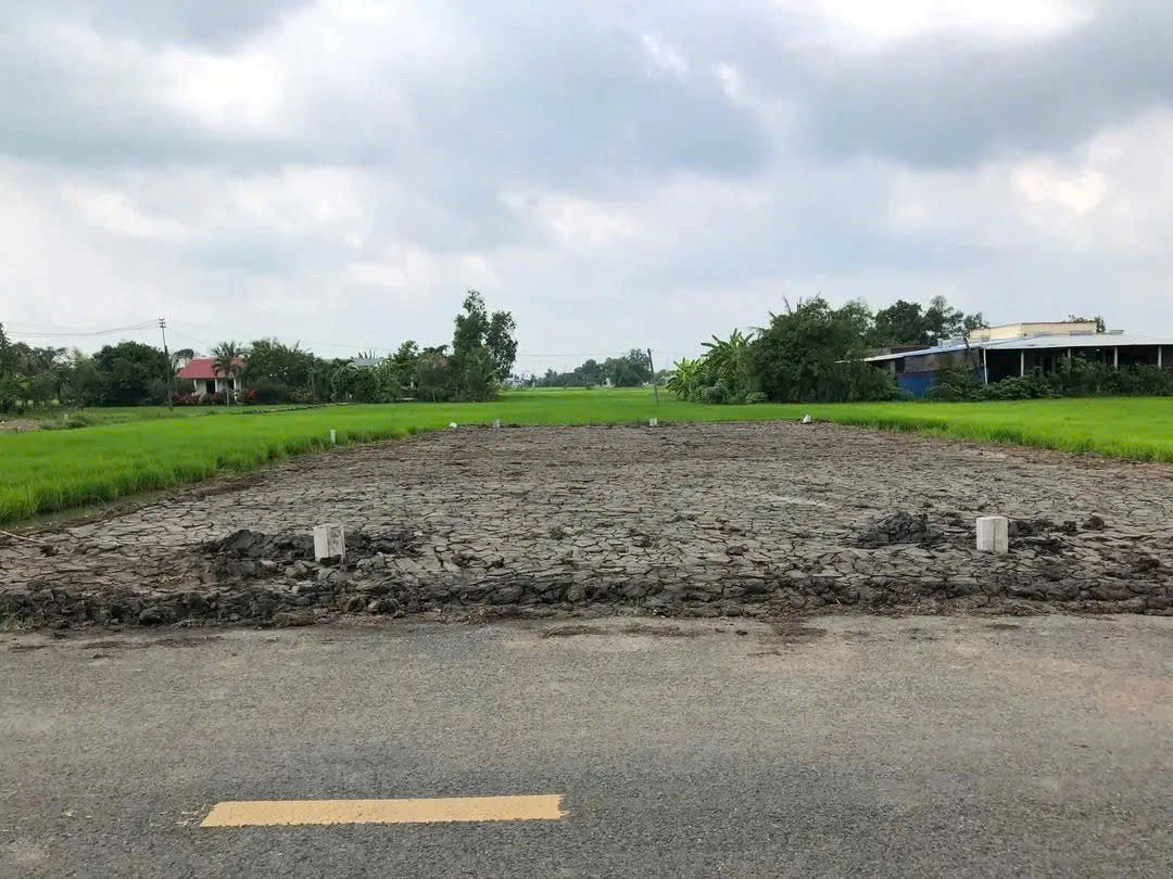 Bán 2 lô thổ cư mặt tiền Nguyễn Quang Đại , xã Mỹ Lệ dt 125 m2 giá 1,2 ...