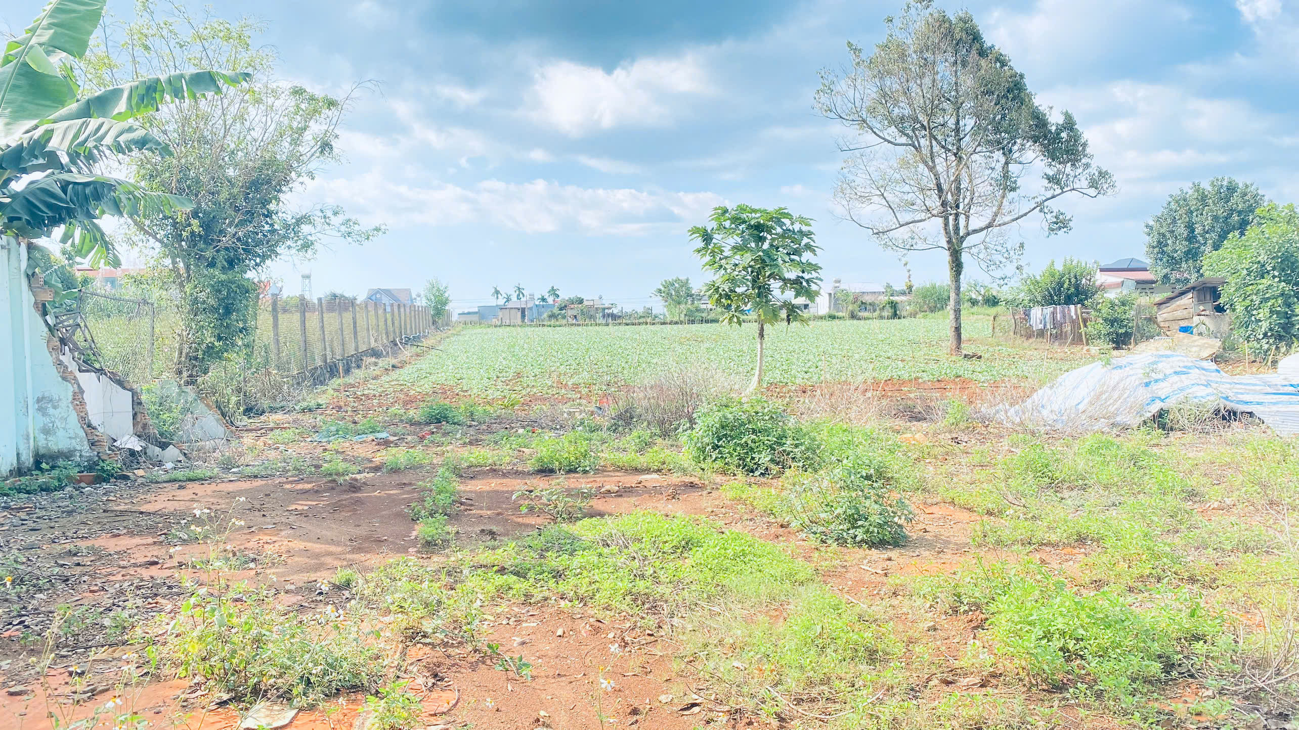 5 sào, ôm 42m mặt tiền quốc lộ 20, gần ngay trung tâm đức trọng, lâm đồng