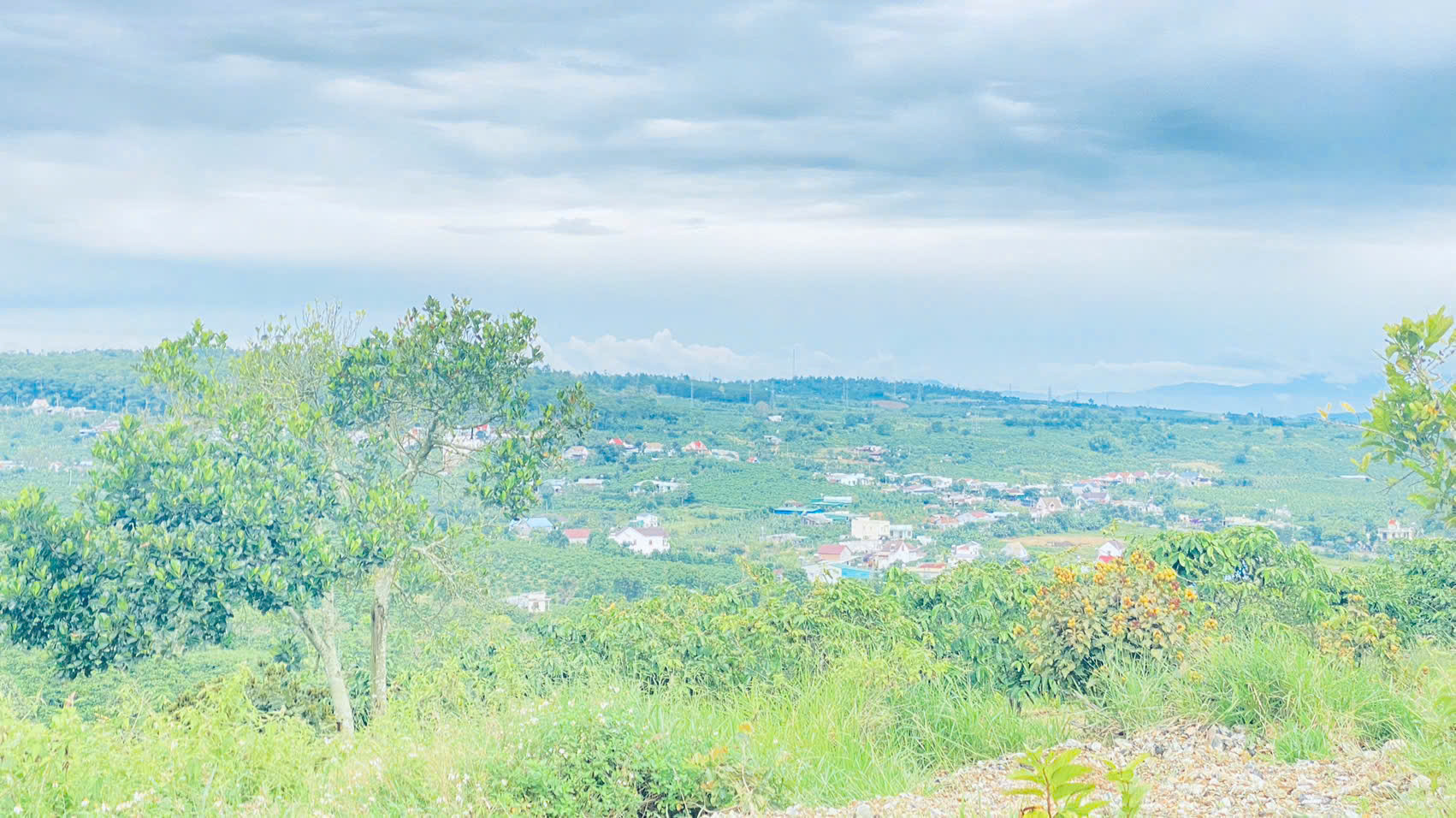 Tổng 1,4 héc ta, đất đẹp, view chill chill, nằm ngay ngã 3 hẻm thuộc ...