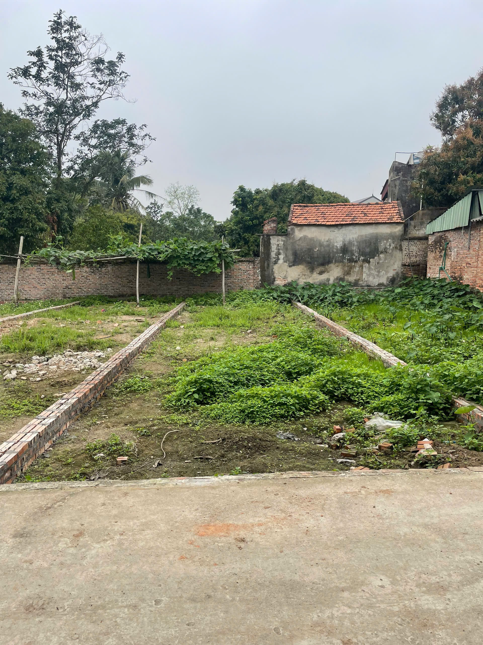 Đất nền sát khu công nghiệp Ngọc Liên - Lương Điền