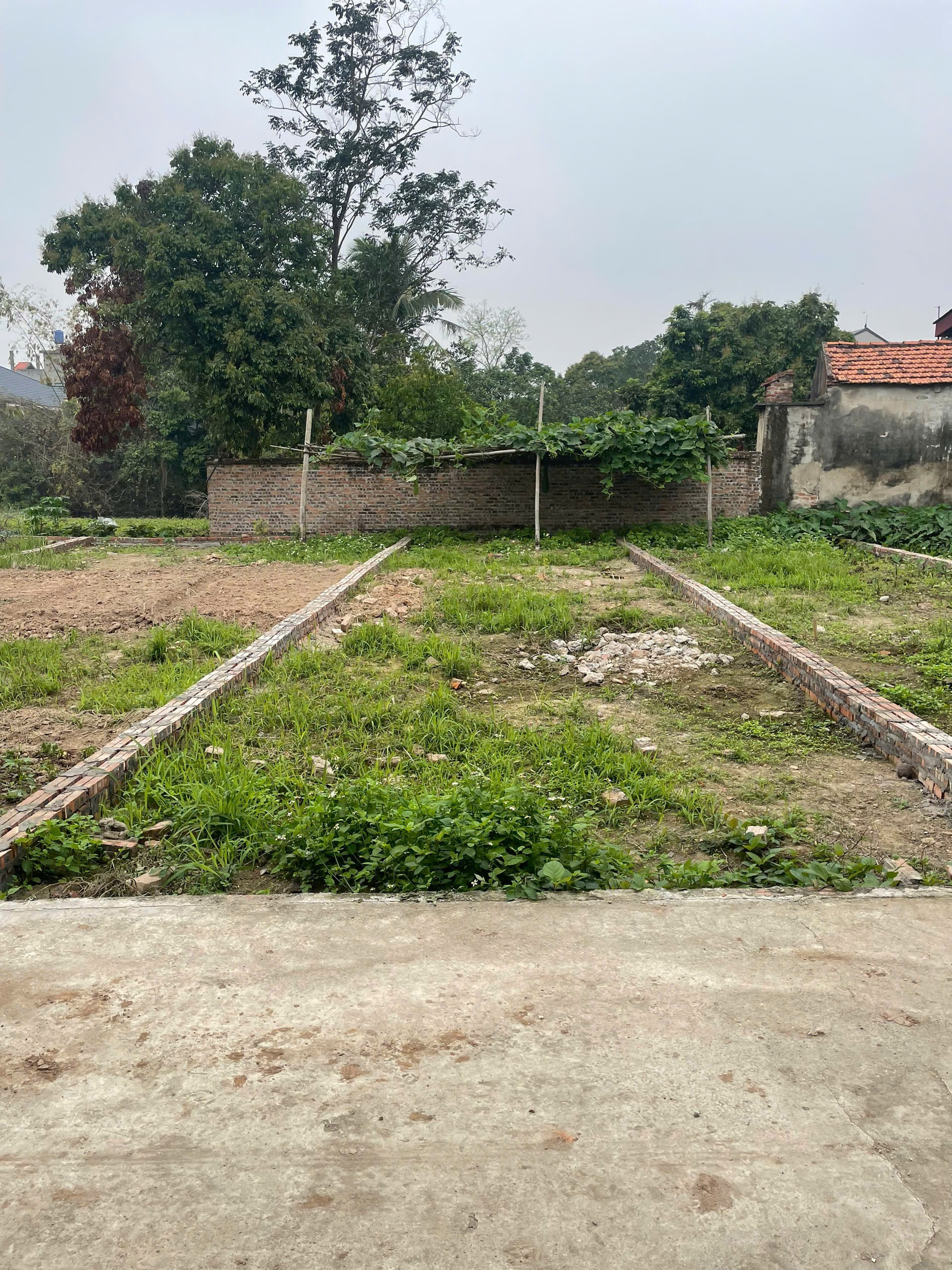 Đất nền sát khu công nghiệp Ngọc Liên - Lương Điền