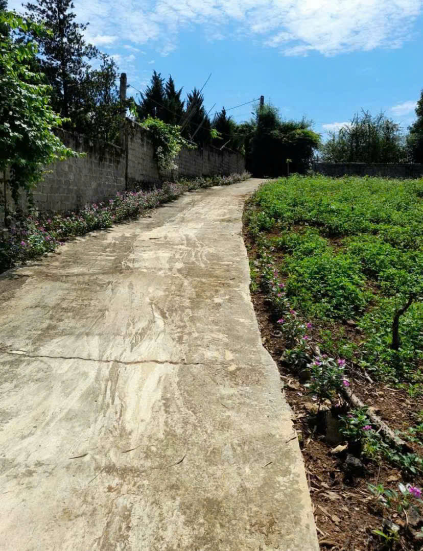 Chính chủ F0 cần cắt bán khoảng 200m có 200m ONT tại Thu Phong, Cao ...