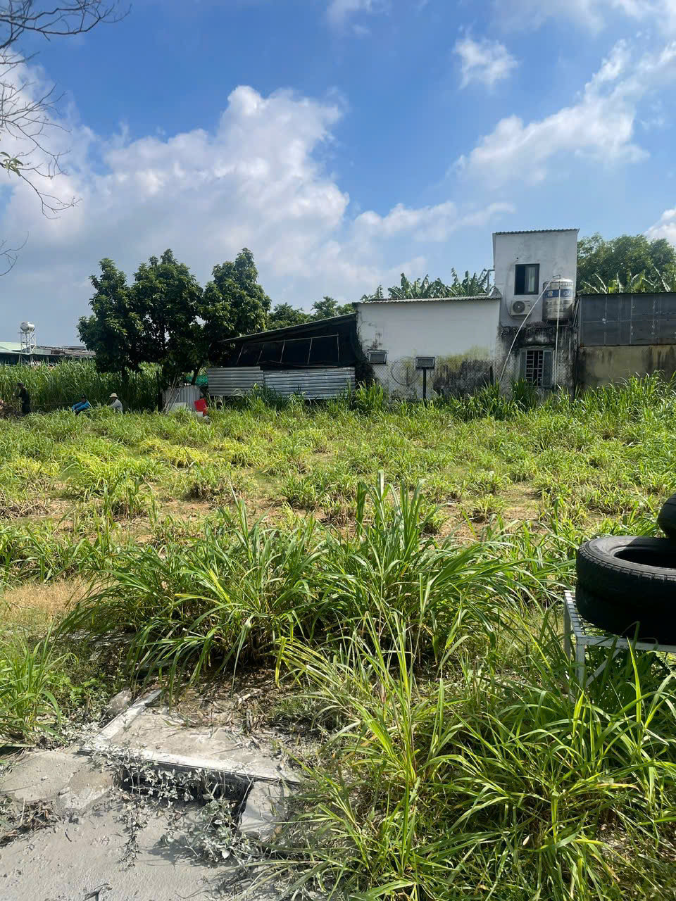 Đất đẹp Tân Thông Hội – Củ Chi | Gần QL22 – Mặt tiền đường nhựa – Giá ...