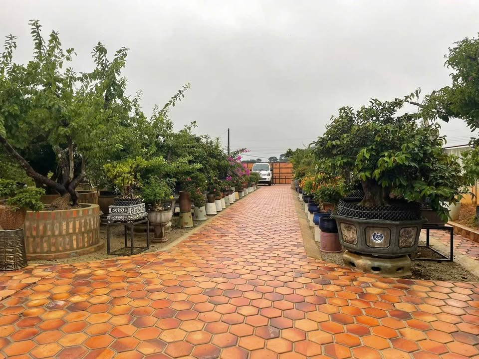 💥 BÁN GẤP! SIÊU PHẨM TẠI XUÂN THỌ, ĐÀ LẠT - VIEW MÂY TRỜI ĐỈNH CAO! 💥💥