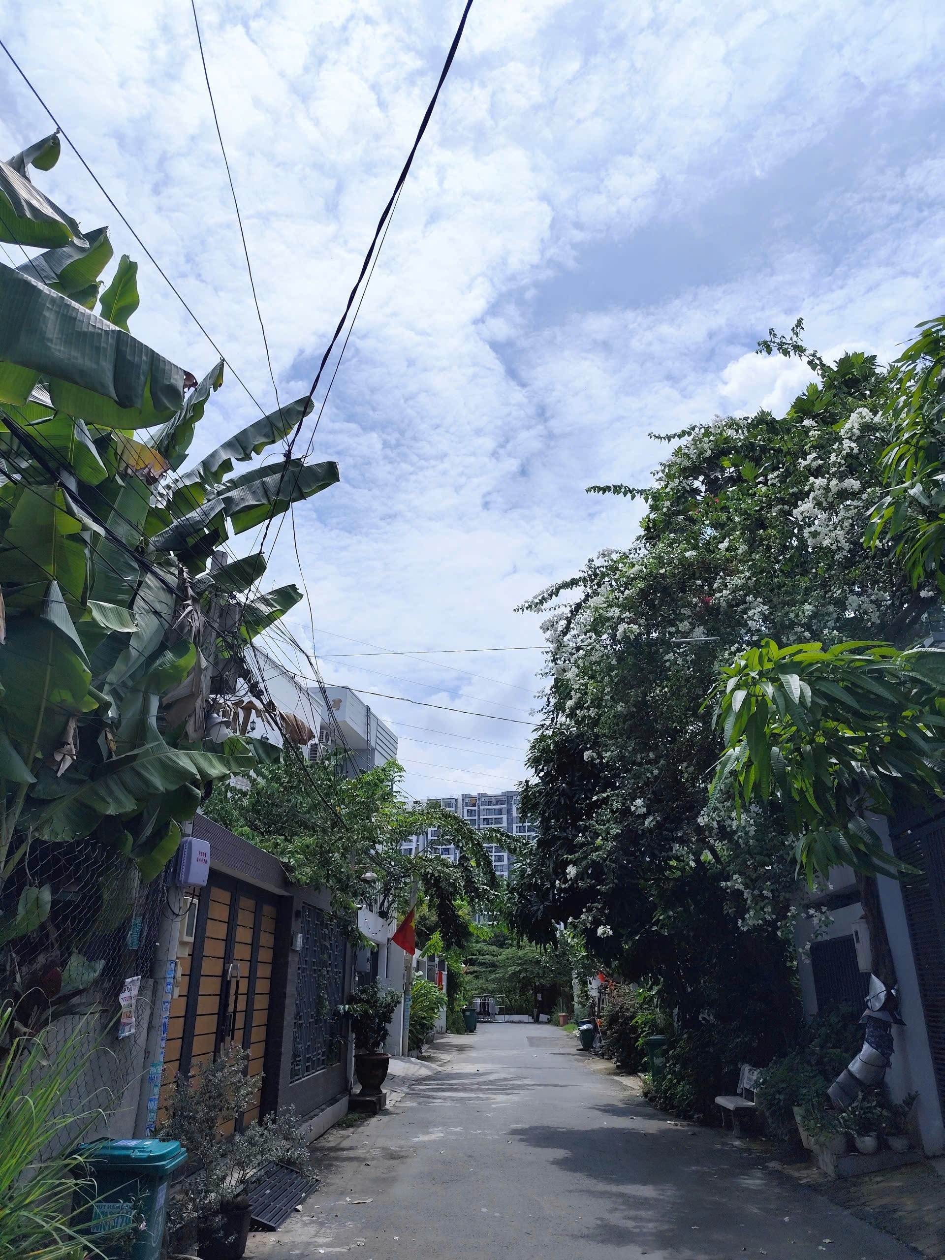 Bán gấp đất Gò Cát Phú Hữu Q9 cũ dt đất 156.9m² full thổ cư ngang 9.2m ...