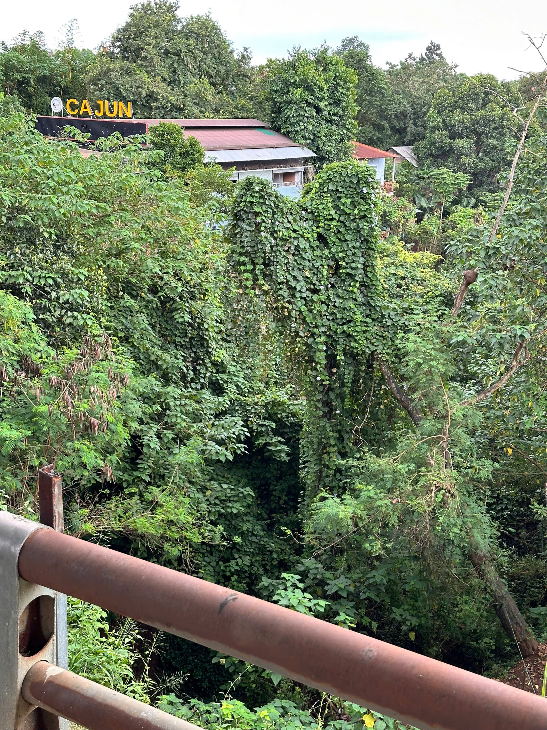 🍻 NV13 : CHO THUÊ QUÁN NHẬU VIEW ĐẸP NHƯ ĐÀ LẠT – TRUNG TÂM BUÔN MA ...