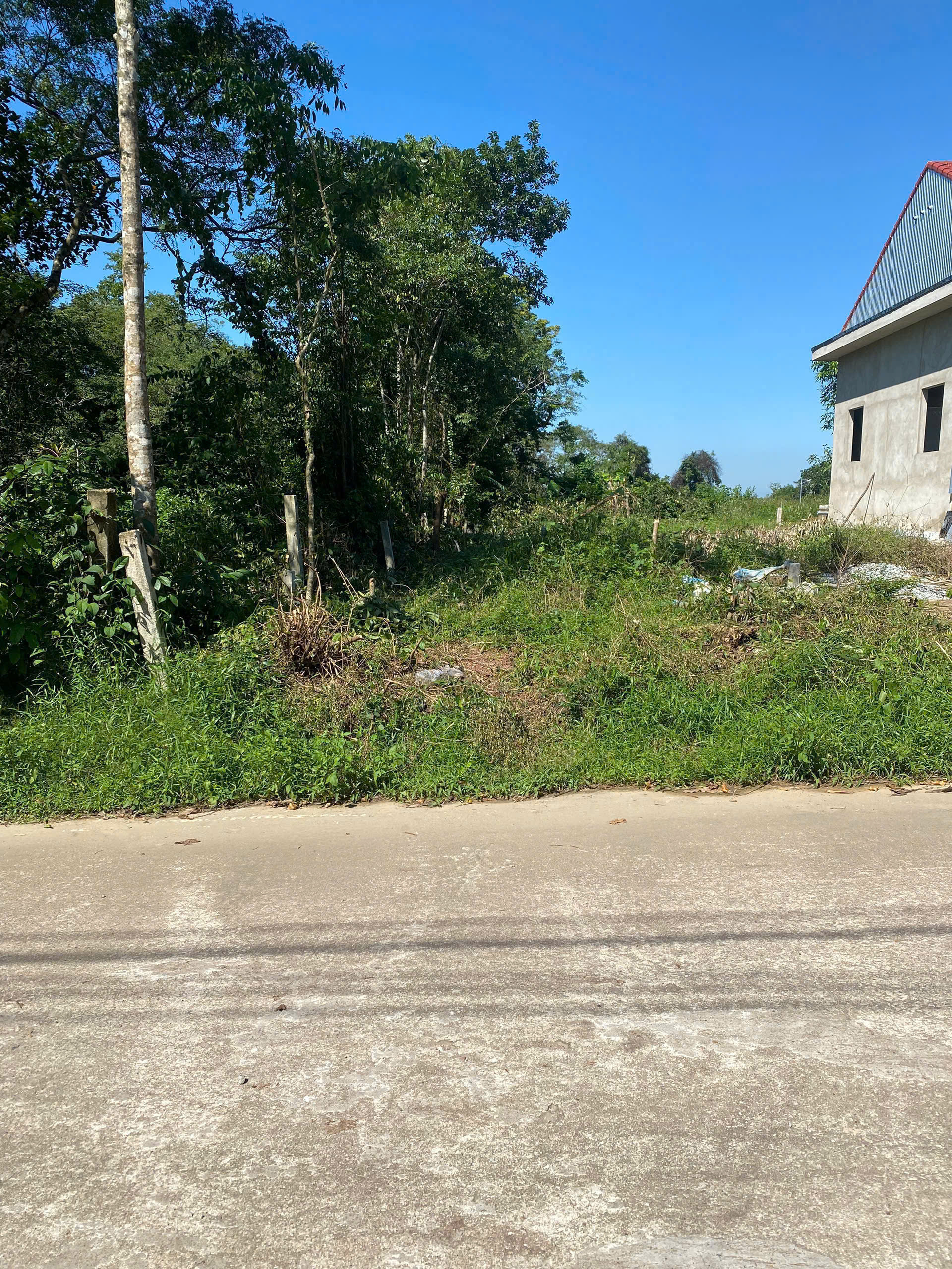 Đất Mặt tiền Vũ Ngọc Phan – Cơ hội đầu tư cực tốt!