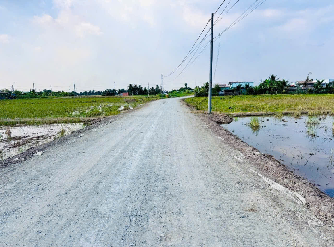 Bán đất thổ cư mt đường beton Trần Văn Lợi , xã Bình Trinh Đông , Tân ...