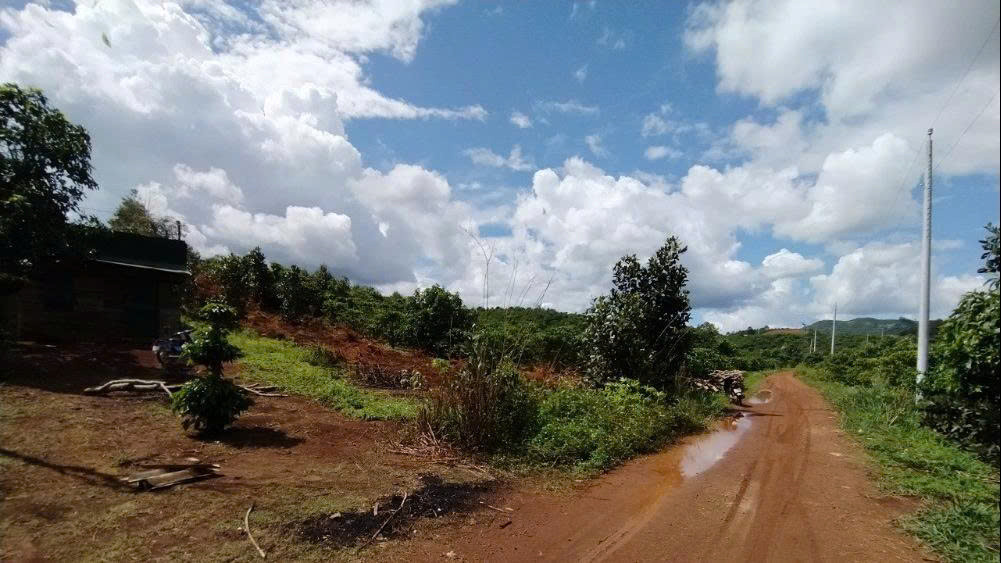 Cần Bán Đất Chính Chủ xã Đinh Trang Hòa, Di Linh 1466m có sẵn 400m thổ ...