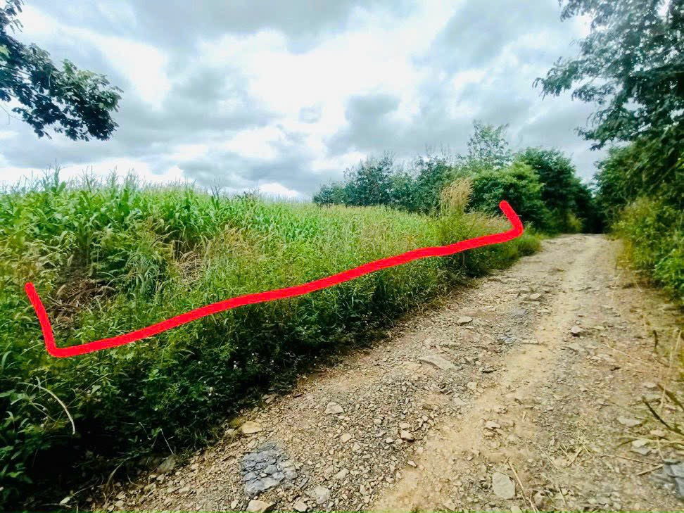 3,3 sào đất Quy Hoạch Full Hồng, QH 2 mặt tiền trước sau, ngang 25m giá ...