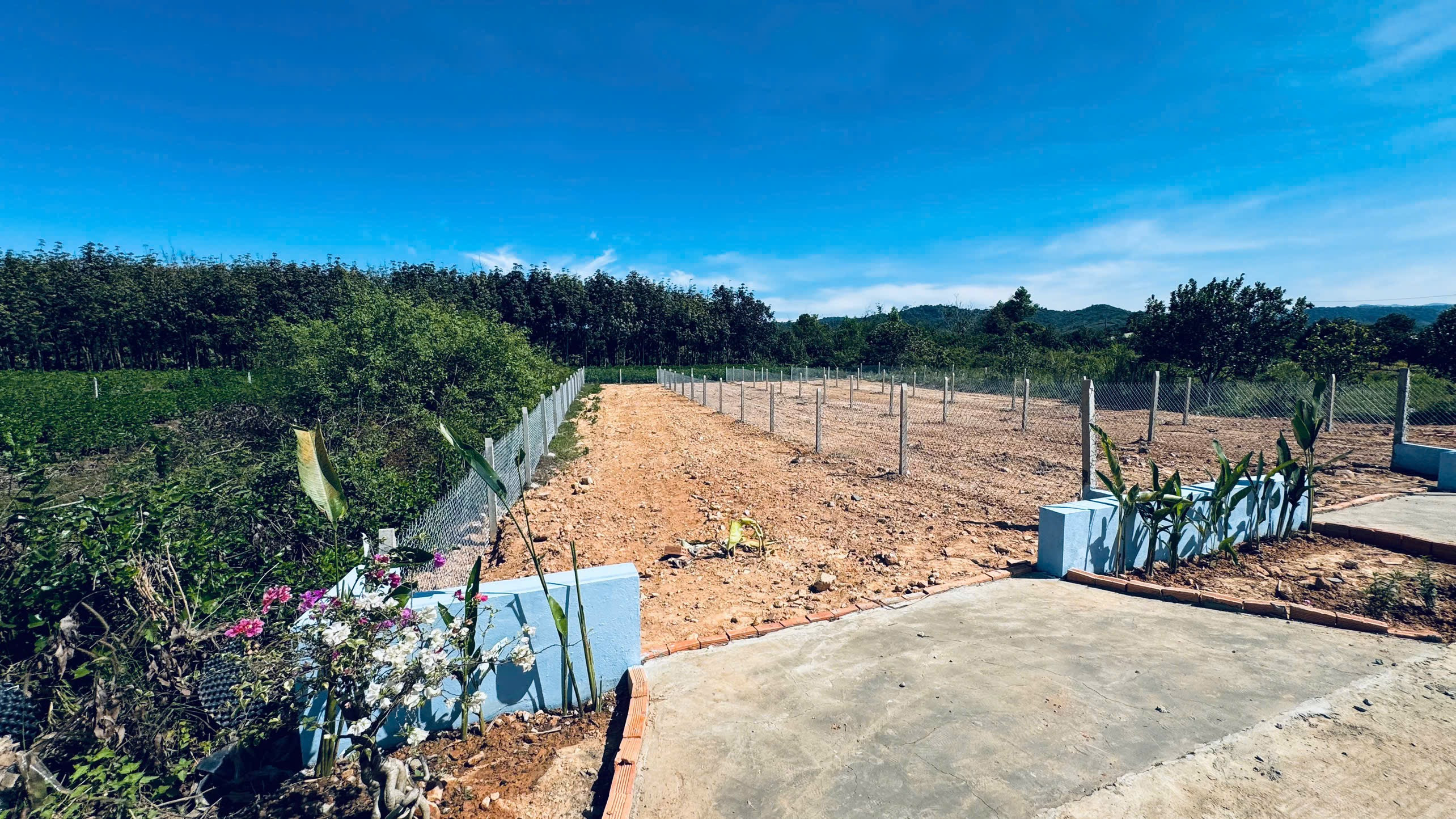 BÁN ĐÂT FULL THỔ CƯ TẠI TRUNG TÂM MỸ ĐỨC- DATEH- LÂM ĐỒNG