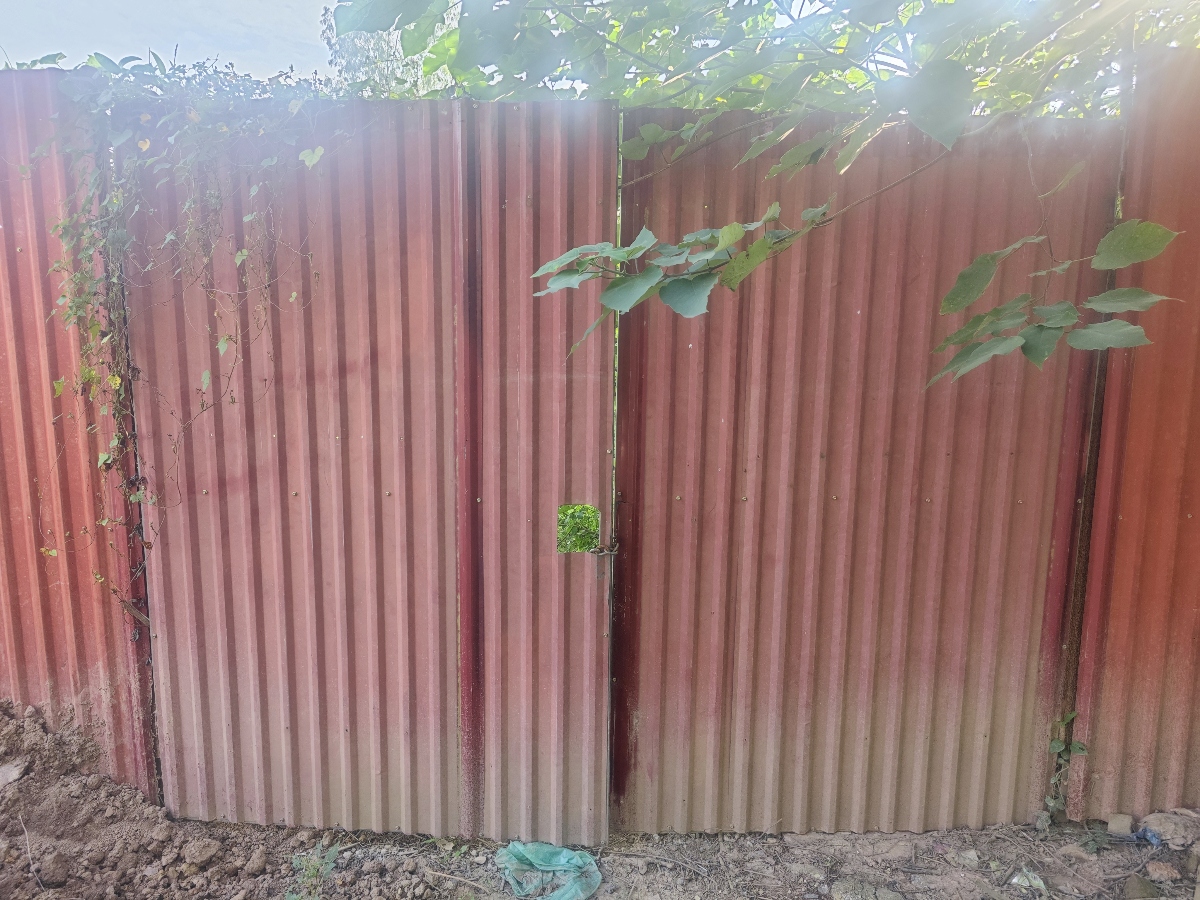 Bán 825 m2 đất nông nghiệp Đại Lan – Nam Phù (mặt tiền 14,1m × sâu 59m ...