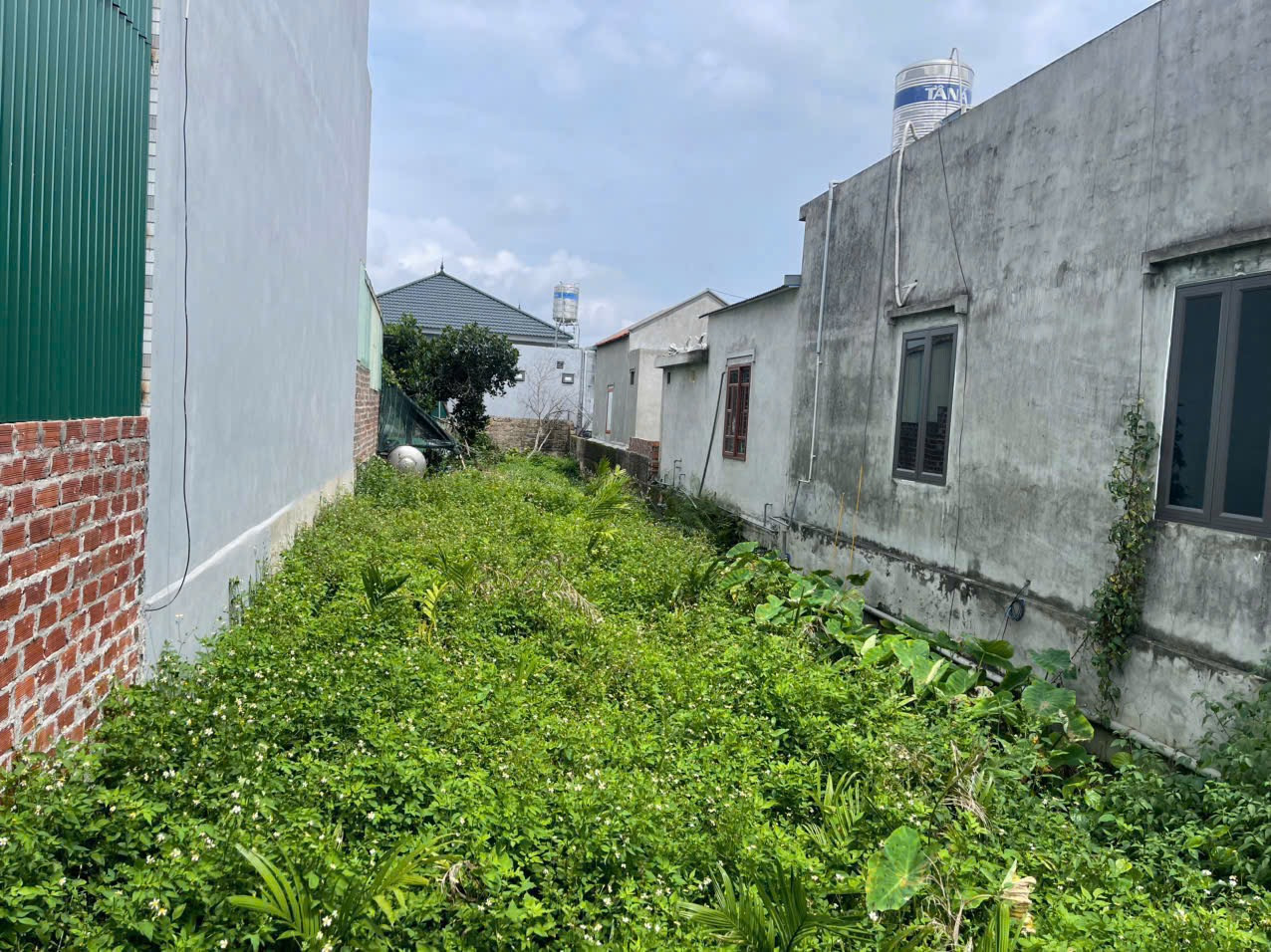 Lô đất rộng đẹp tại Quảng Thanh, HP , Tiềm năng sinh lời cao