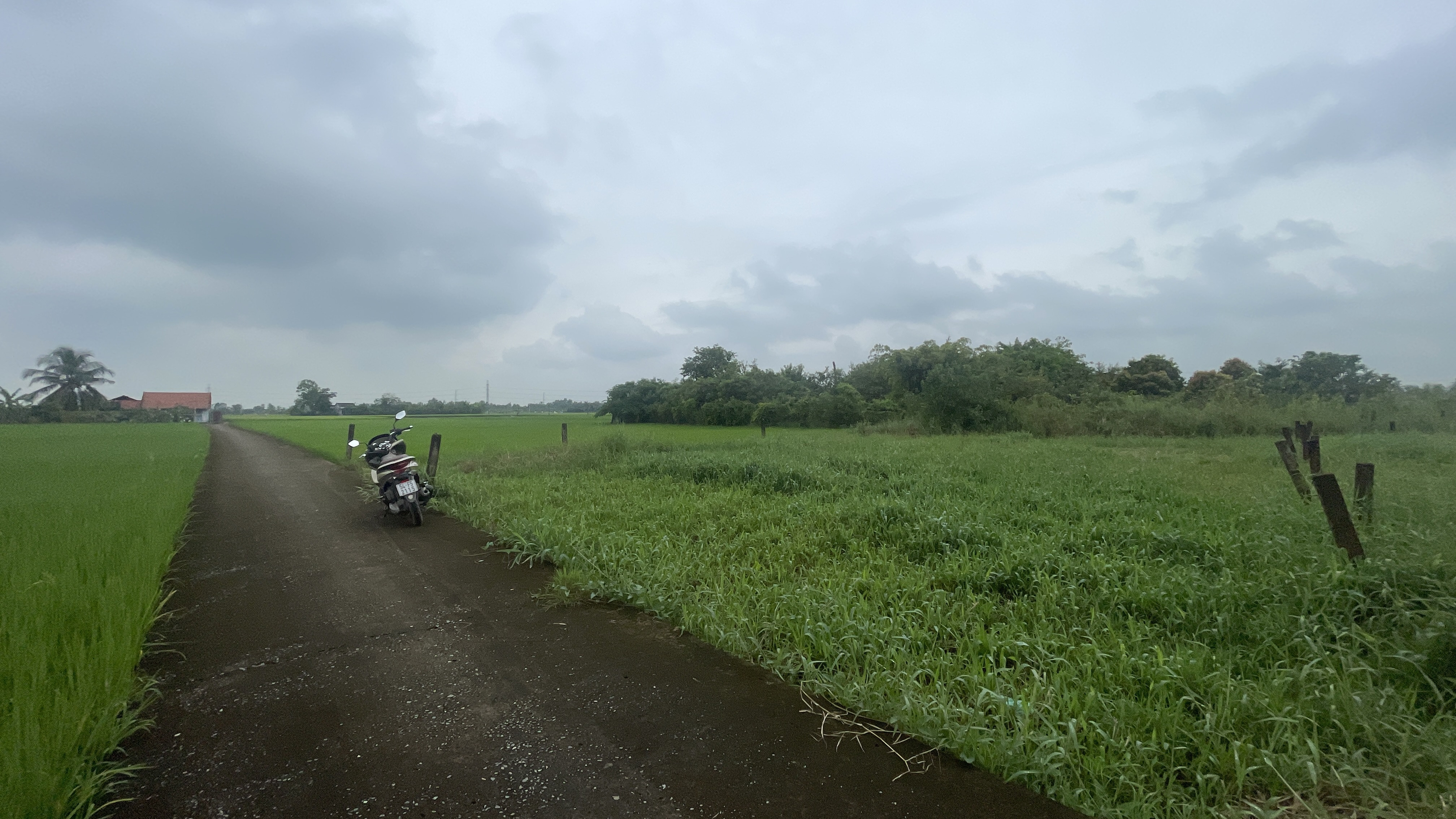 Đất thổ cư Hà Văn Sáu ngang 8.2 m giá cực tốt