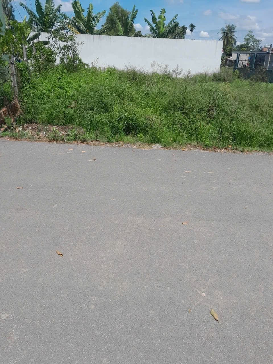 Bán đất thổ cư mặt tiền nhựa 1/Hồ Văn Tắng xã Tân Phú Trung Củ Chi ...