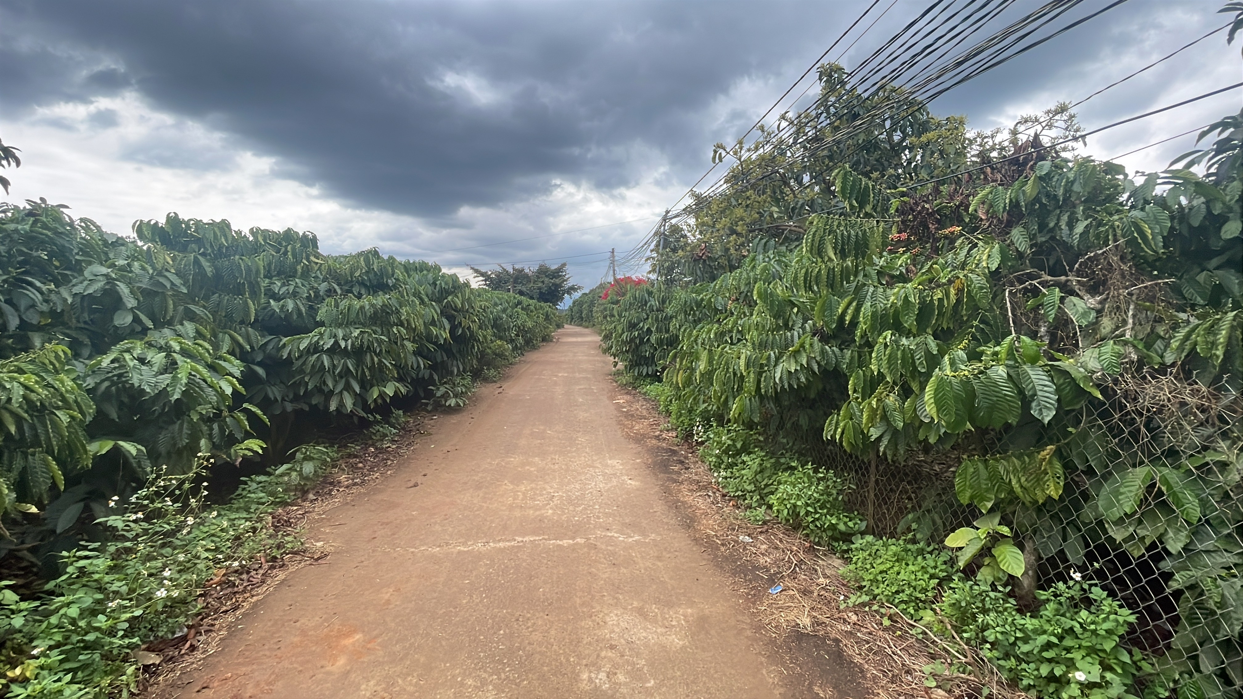 Lô đất 2 mặt tiền bê tông lớn quy hoạch FULL Thổ Cư tại Đức Trọng ...