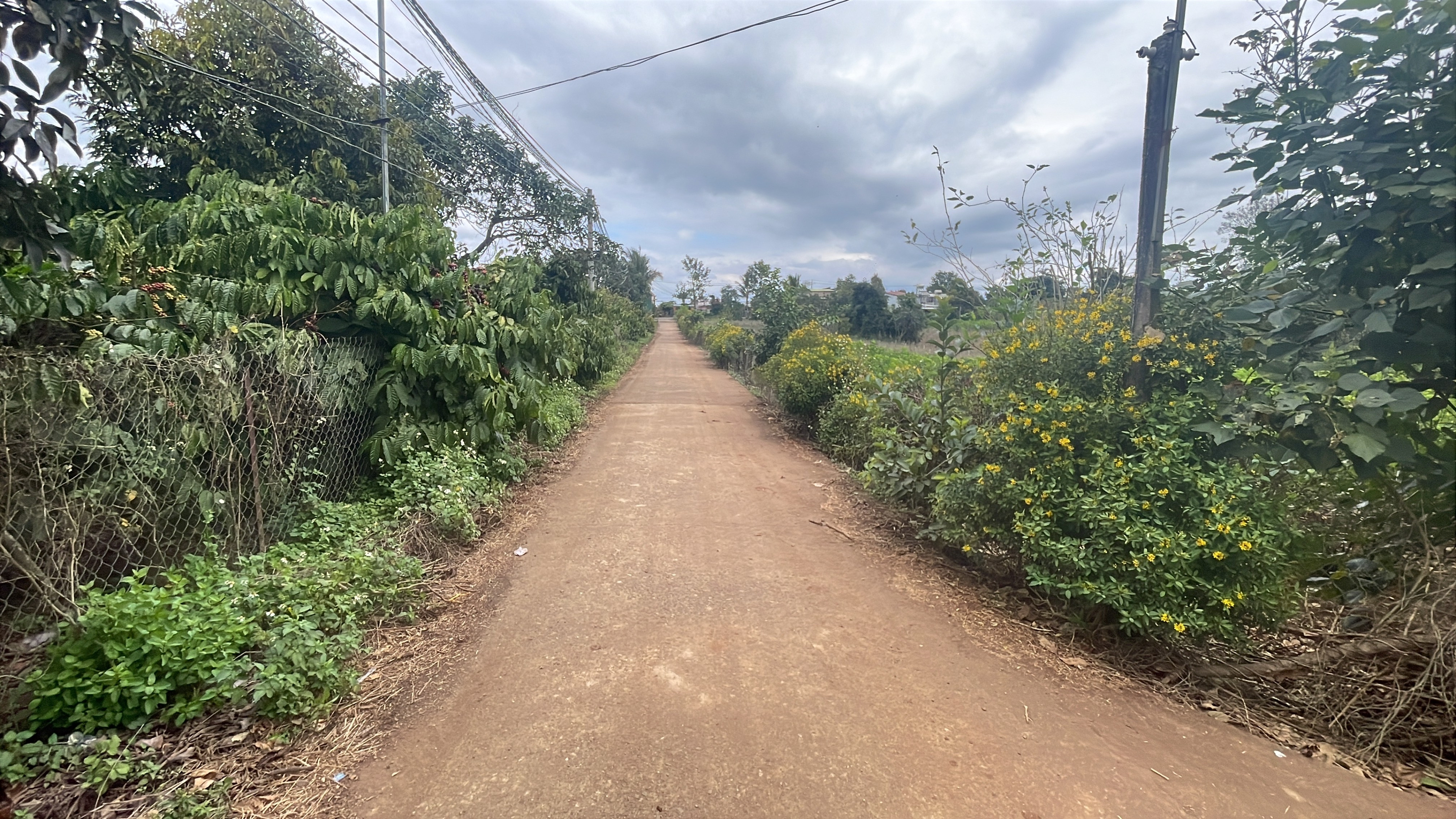 Lô đất 2 mặt tiền bê tông lớn quy hoạch FULL Thổ Cư tại Đức Trọng ...