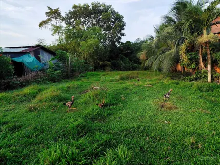 Đất thổ vườn an hòa, an ninh tây, đức hòa, long an