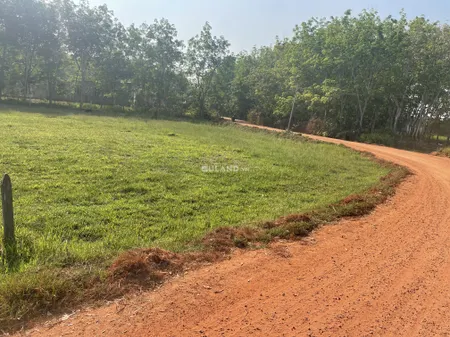Lô góc đất nông nghiệp, QH ONT, tại KDC đông đúc