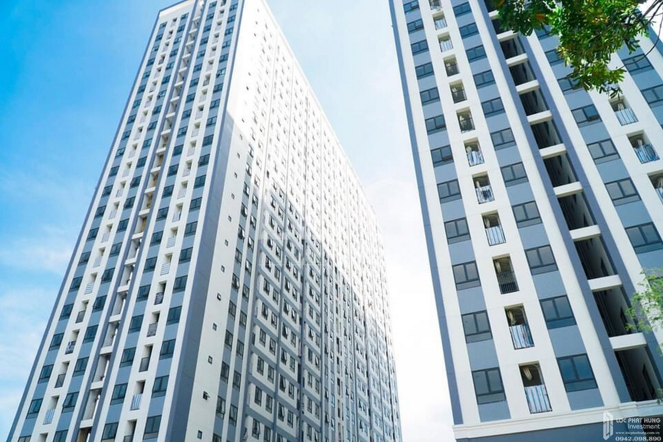 Saigon Intela Huyện Bình Chánh