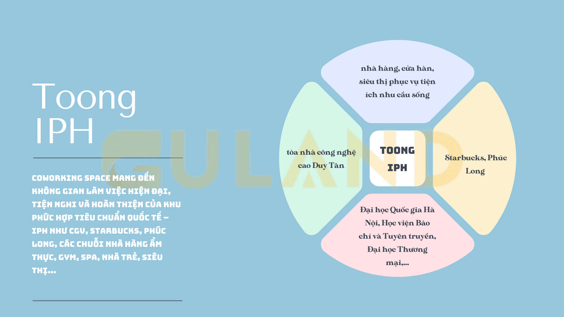 Toong IPH Quận Cầu Giấy